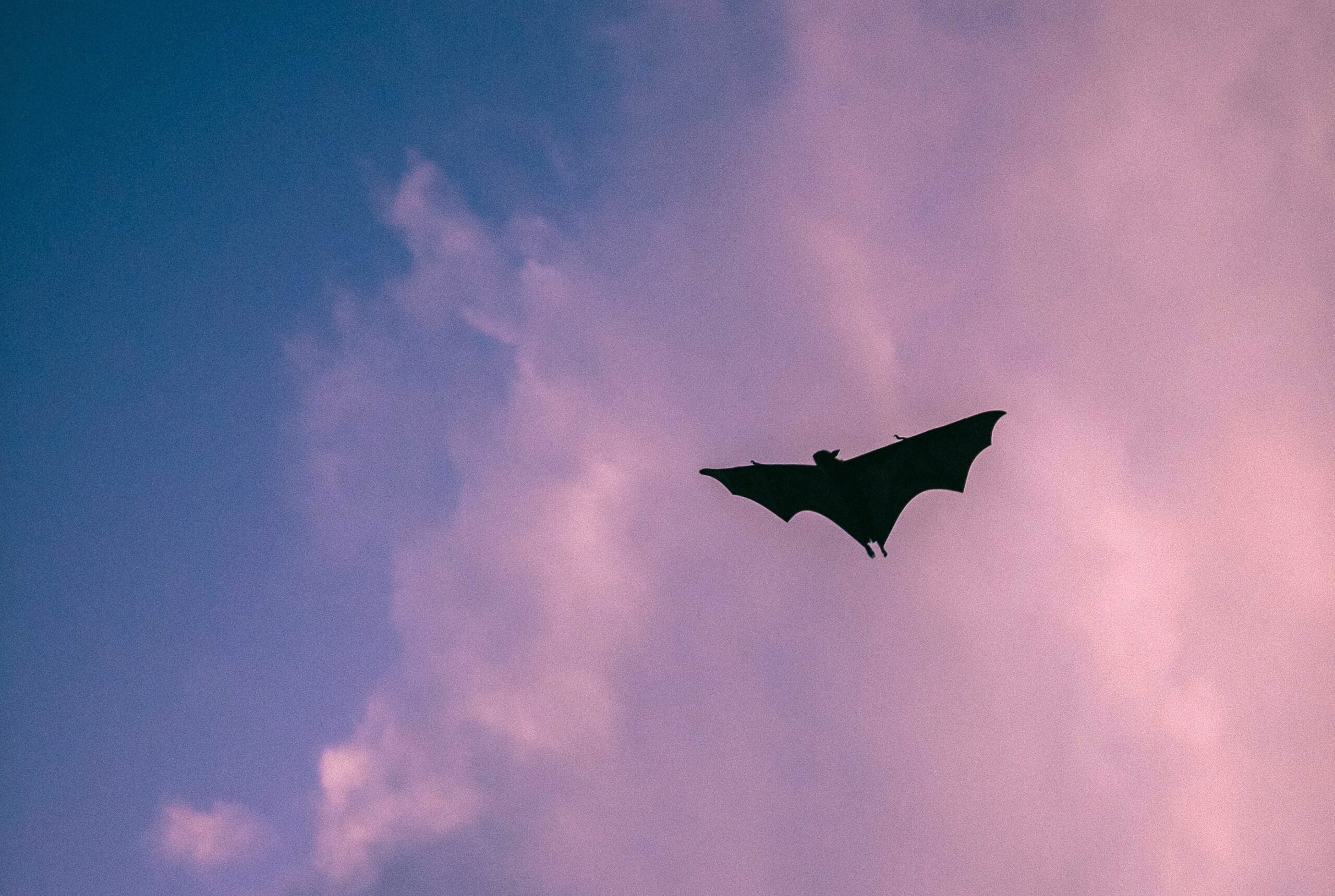 SLL unveils exterior lighting event - Recolight